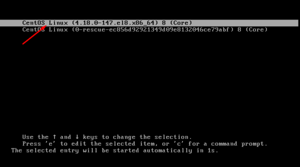How to Install CentOS 8 with Screenshot