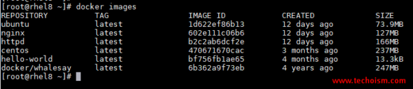 Some Basic Docker Commands Beginner Should Know